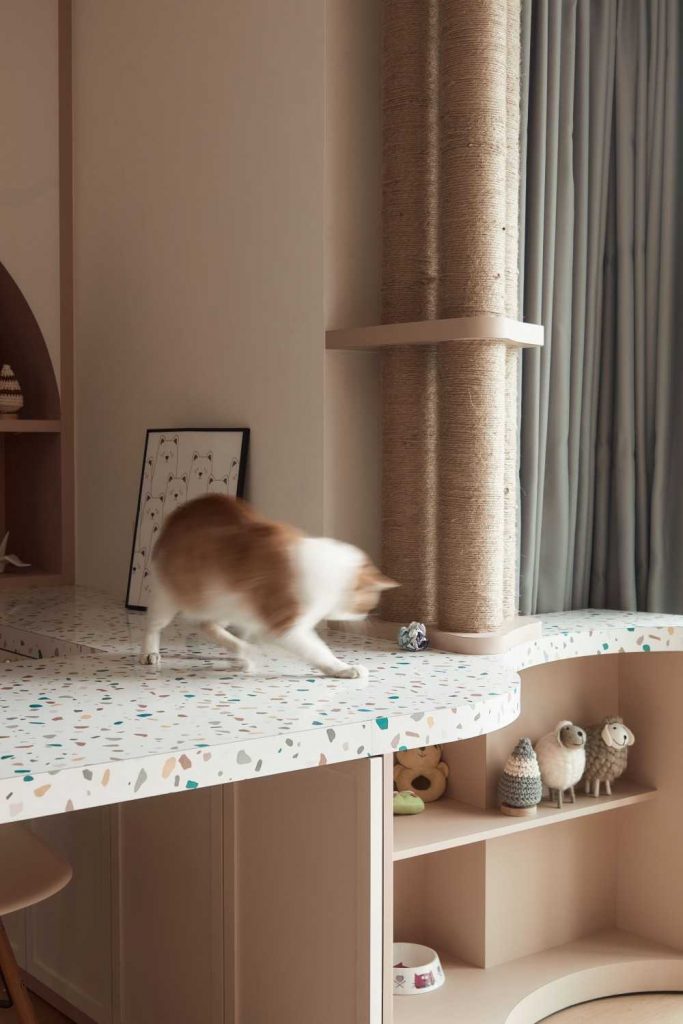 How To Design A Home That's Pet-Friendly - Hometrust